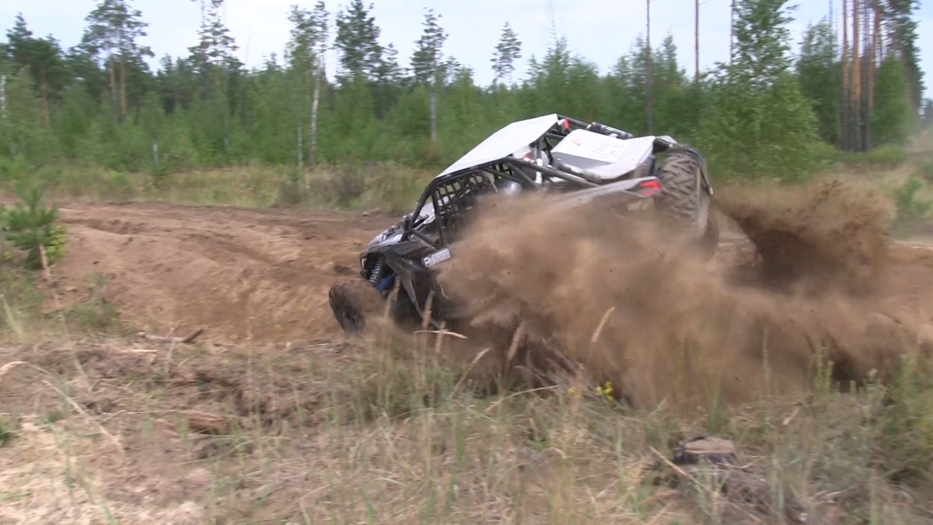 "Случилось неожиданное дерево" - скоростная гонка на узких лесных дорожках с бродами.