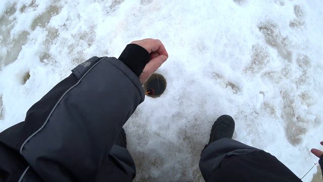 Берш #fishing , #рыбалка, #bushcraft.