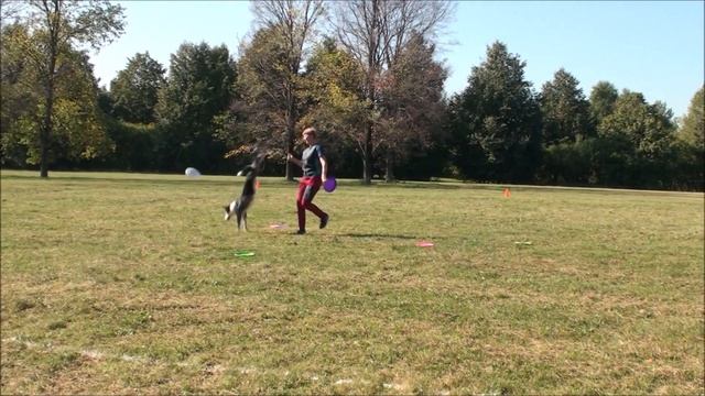 USDDN WF QUALIFIER Ольга и Манго.mp4