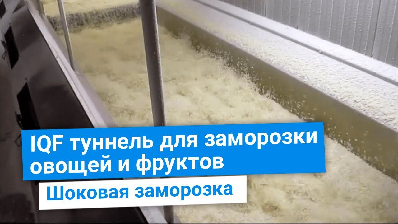 Универсальный IQF туннель.  Двойная мойка. После лука можно перерабатывать ягоду