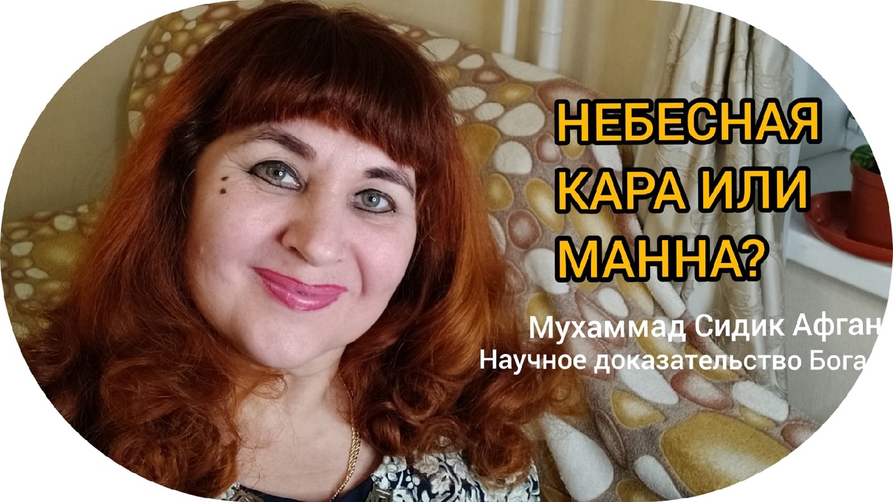 НЕБЕСНАЯ КАРА ИЛИ МАННА? ПЕРЕХОД В БУДУЩЕЕ.Мухаммад Сидик Афган./Анохина С.Г.
