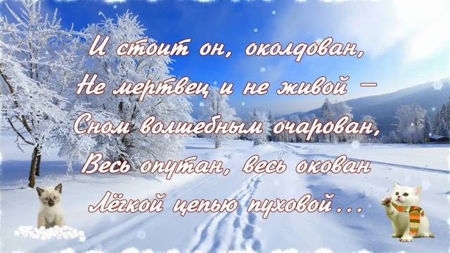 Зимняя сказка. Ролик. Стих