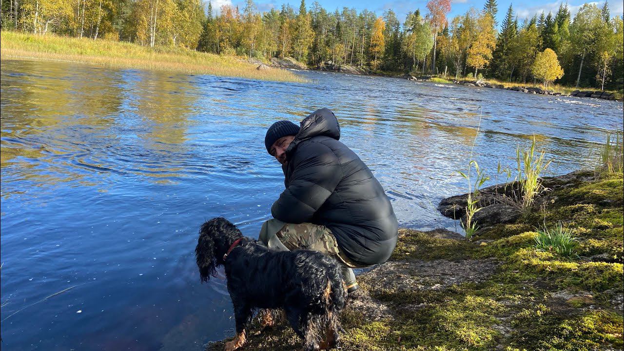 Рыбалка Осенью на Новой реке. Поиск Кумжи и Хариуса. Спиннинг. Карелия.