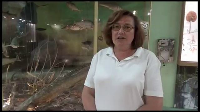 Что ели турки в Азаке 17 века.mp4