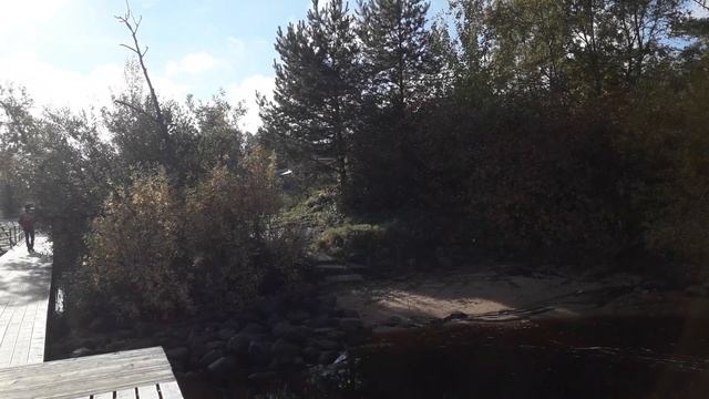 Где отдохнуть на природе недалеко от Санкт- Петербурга. Новоладожский канал