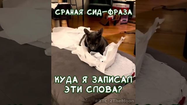 Когда выписал сид фразу от кошелька, но не помнишь куда