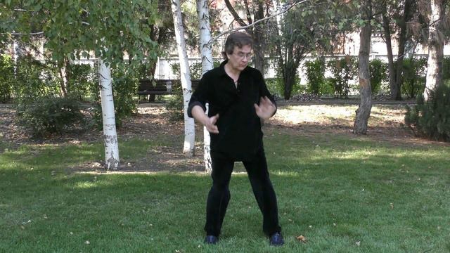 20 Учебные таолу стиля Орлан и барс в один ряд.