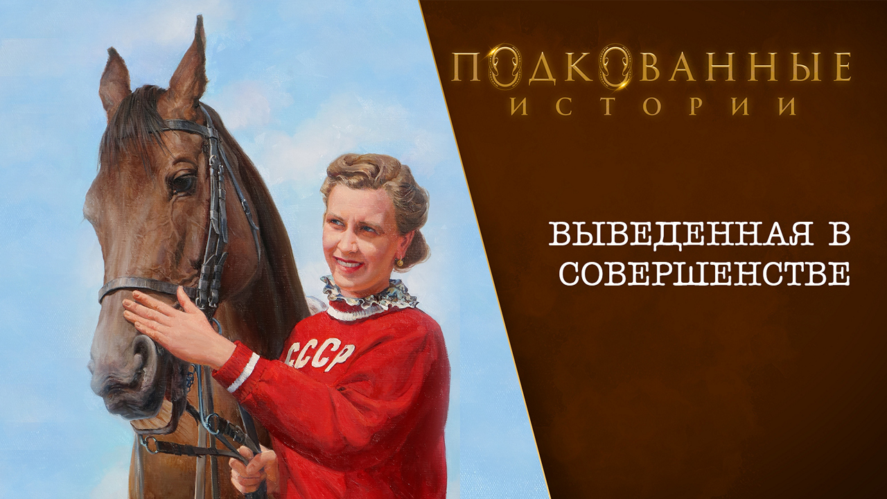 17 Подкованные истории: ВЫВЕДЕННАЯ В СОВЕРШЕНСТВЕ