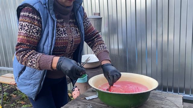 Обрезка роз перед укрытием на зиму, обрабатываю луковицы гладиолусов перед хранением