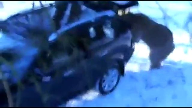 Лесной рэкет или сходили на рыбалку...