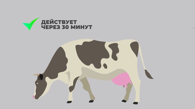 ОКСИЛОНГ РЕТАРД: антибиотик для лечения крупнорогатого скота