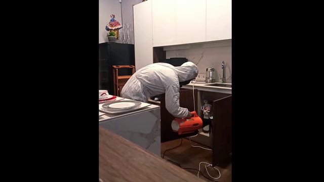 Уничтожение тараканов в квартире 2