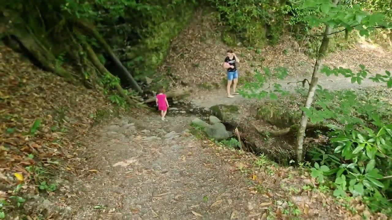 Дорога на АЖЕК