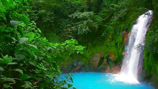 Enigma - The Same Parents