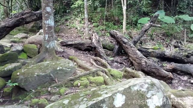 Малоизвестные места в Таиланде - водопад Pong Phra Bat Waterfall в Чианграе