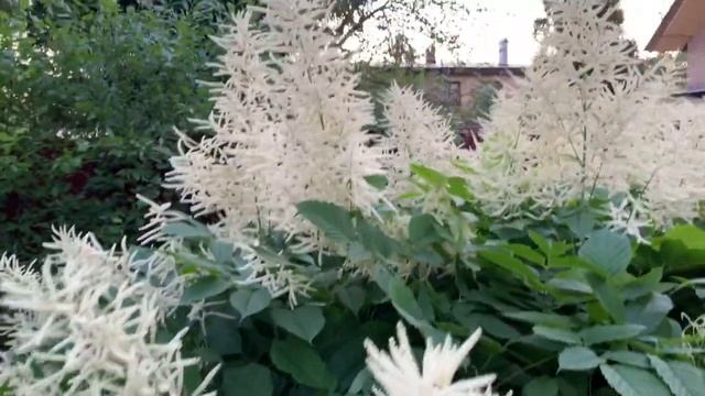 Как зовут тебя, красавица?