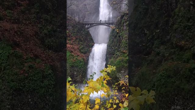 «БЕДНЫЕ ЛЮДИ НАИБОЛЕЕ СЧАСТЛИВЫ,
ОНИ ЕЩЁ НЕ ЗНАЮТ, ЧТО В ДЕНЬГАХ СЧАСТЬЯ НЕТ…»,
Леонид Тальпис