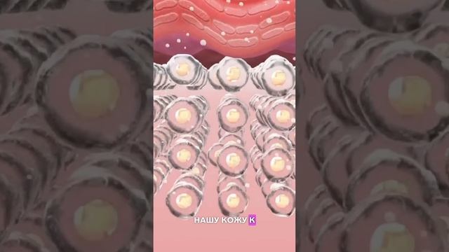 Смаслифтинг аппаратный. Работает?