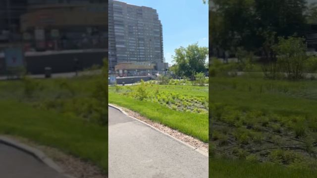 Вместе с Yappy | Позови меня в тренд!