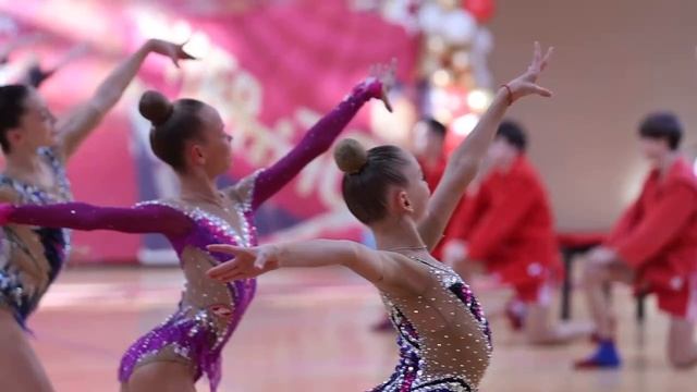 Клятва воспитанников школы "Самбо-70" | 2023