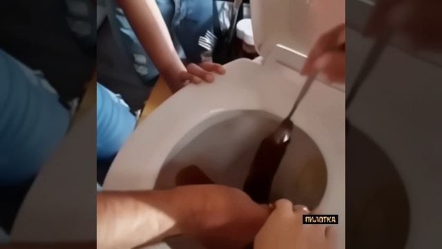 необычная подача блюда