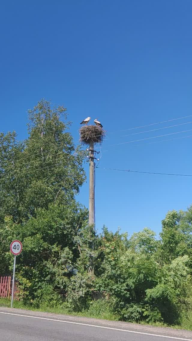 село Новоколхозное. 25 июня 2022 года.