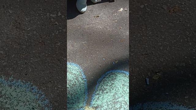 Рисунок мелками / Цветочек