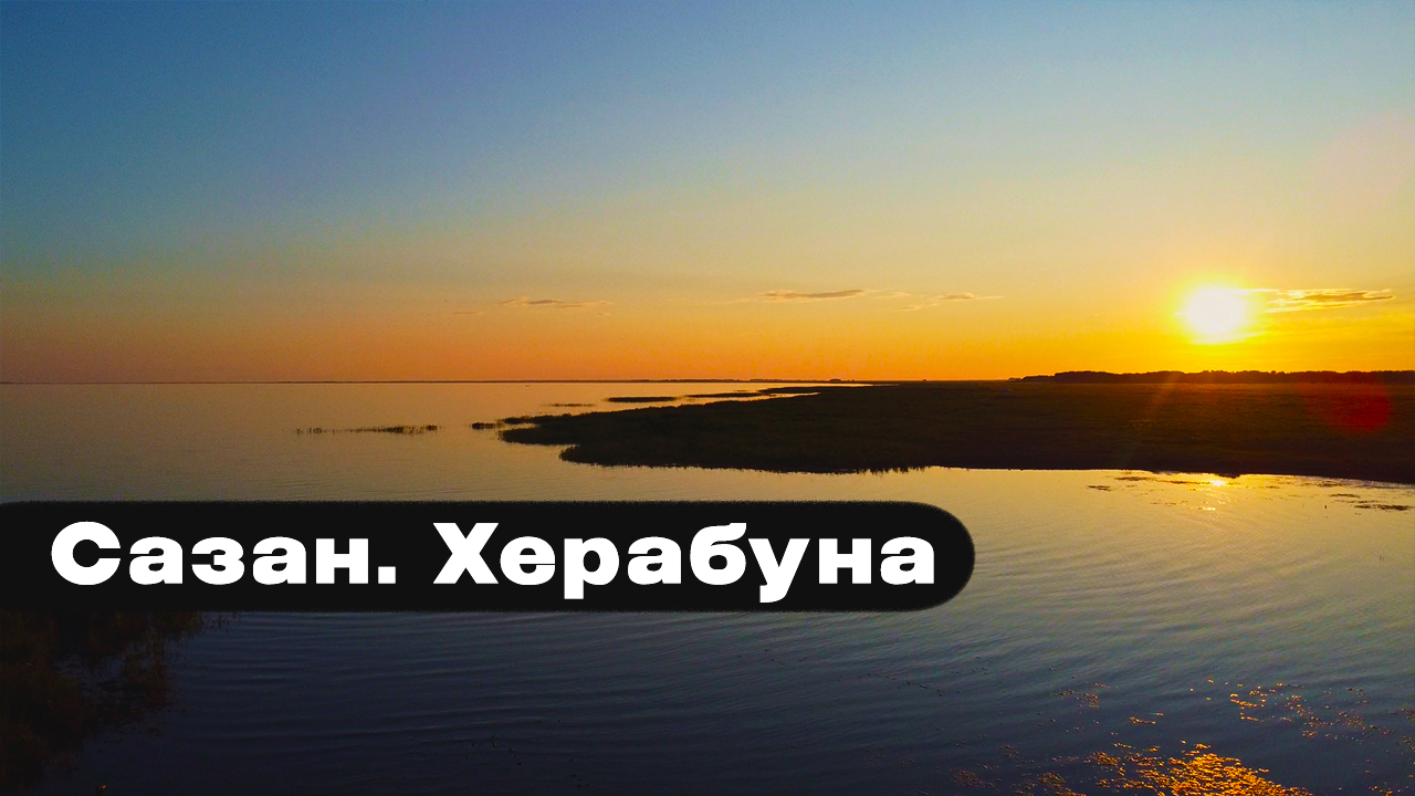 Сартлан. Сазан уходит в камыши.