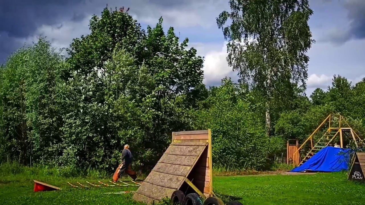 Прерванная атака