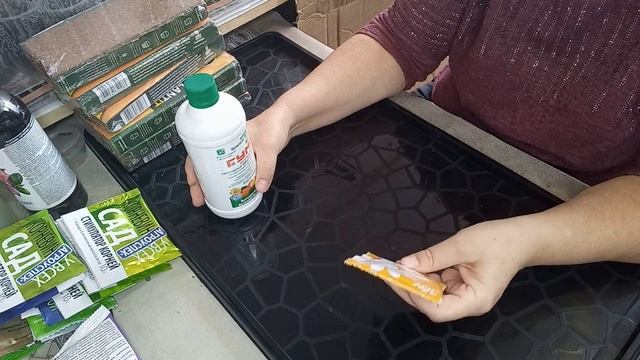 Чем подкормить лимон и мандарин весной.