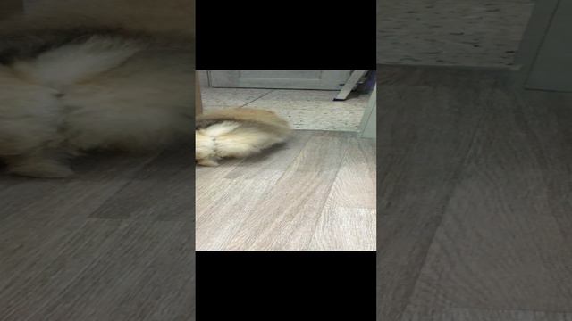 Когда очень хочется кушать