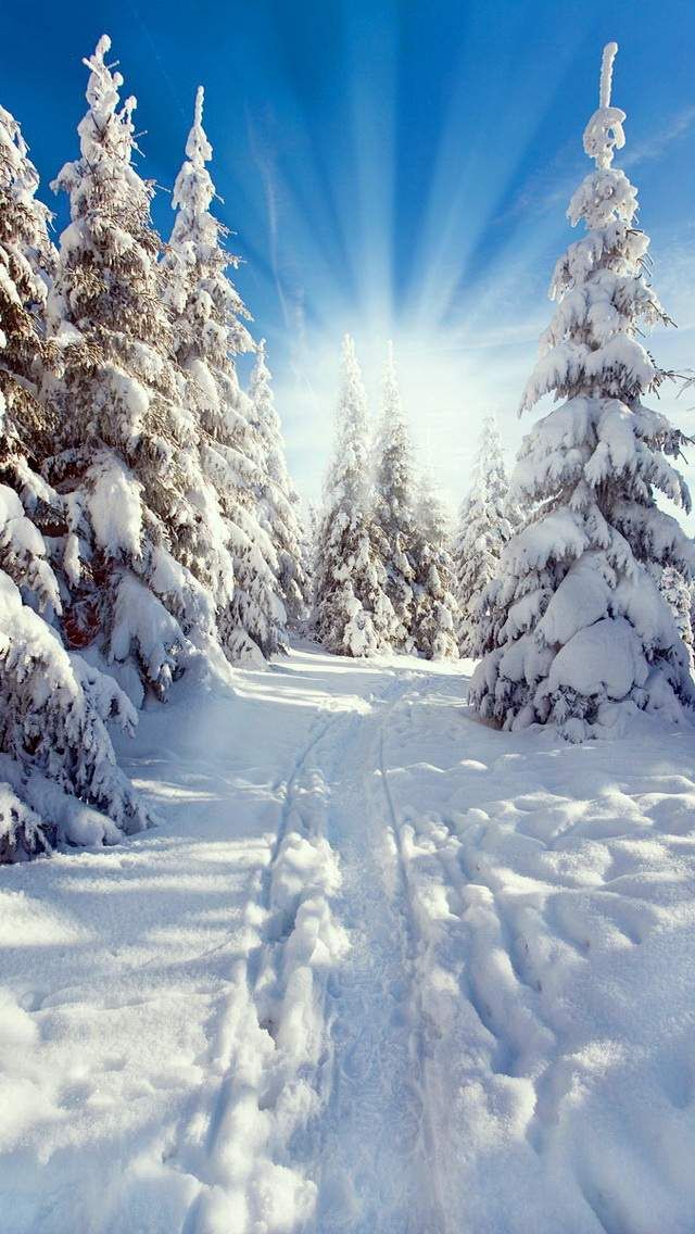 ❄️ Прекрасного зимнего дня.