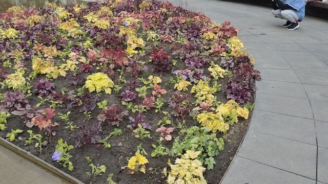 В парке Галицкого. Краснодар