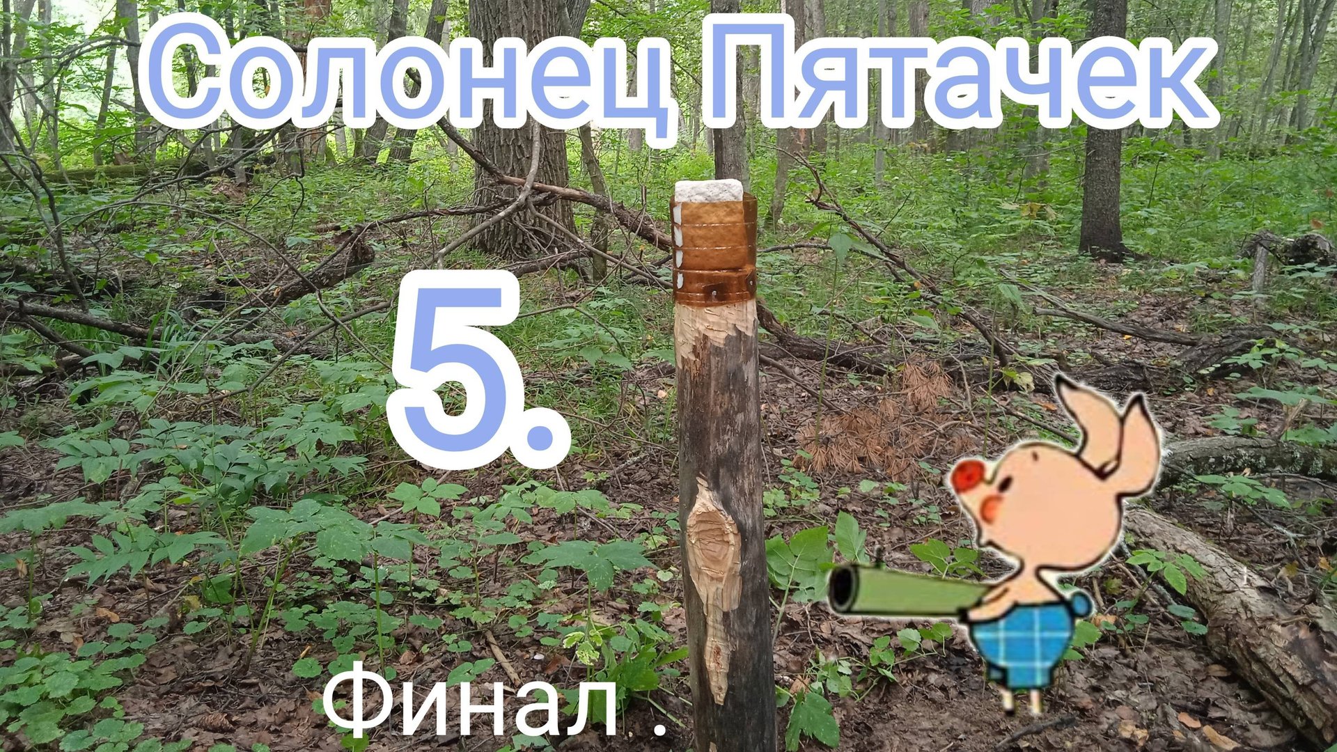 Солонец Пятачек 5