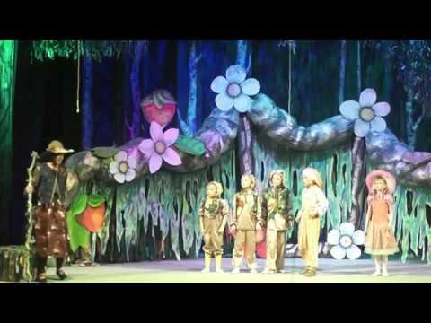 "Приключения Дождевичка"