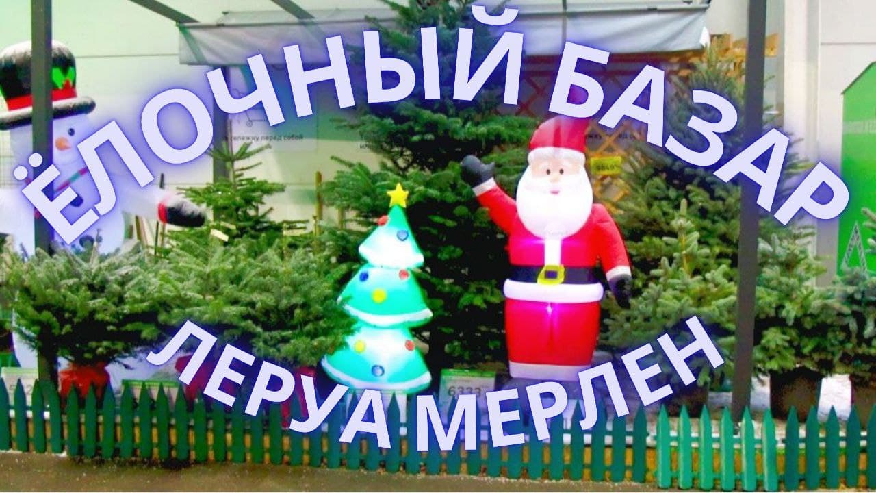 Ёлочный базар в Леруа Мерлен! Новогодние живые ёлки! Новый Год 2022 уже скоро!