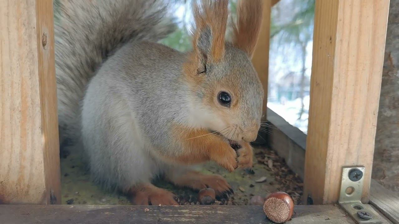 24 марта 2024 г.