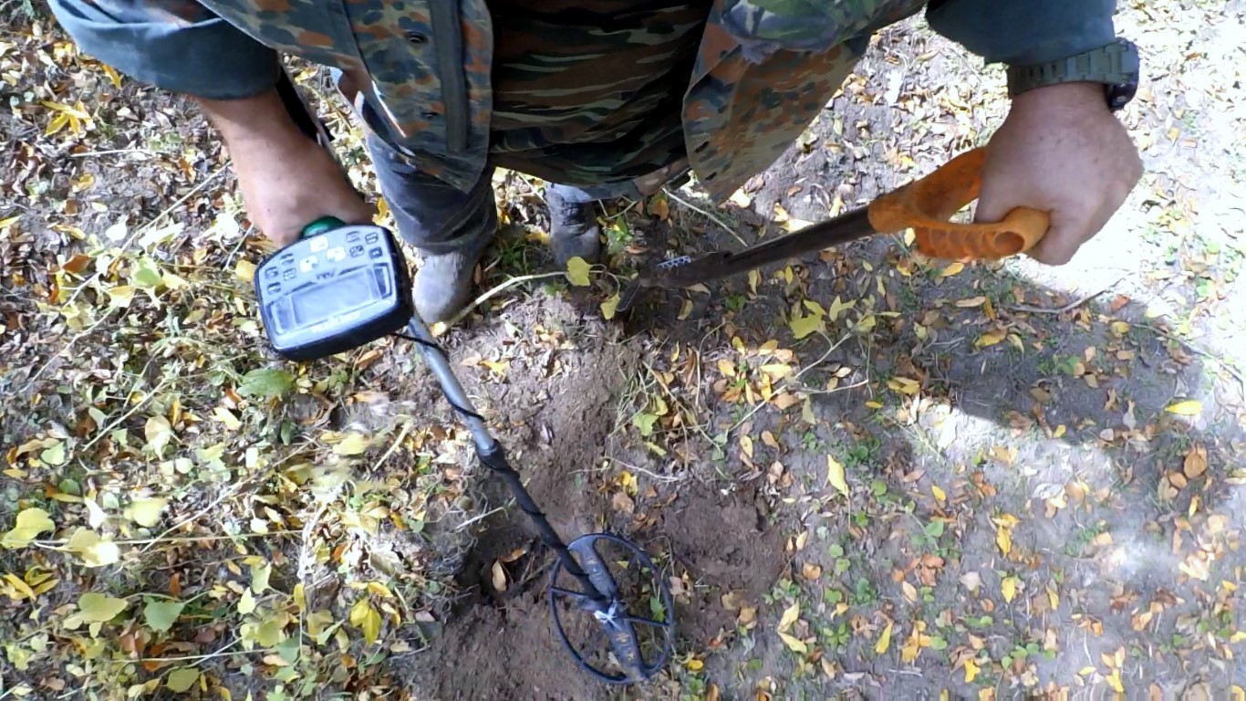 Ходил-бродил по лесу.