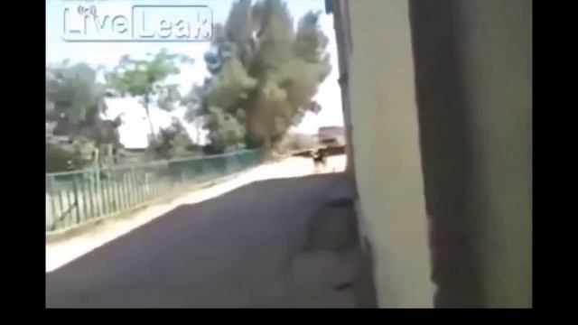 ?Лучшие смешные ПРИКОЛЫ ? #3