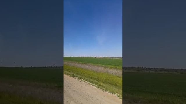 Ветровая электростанция.