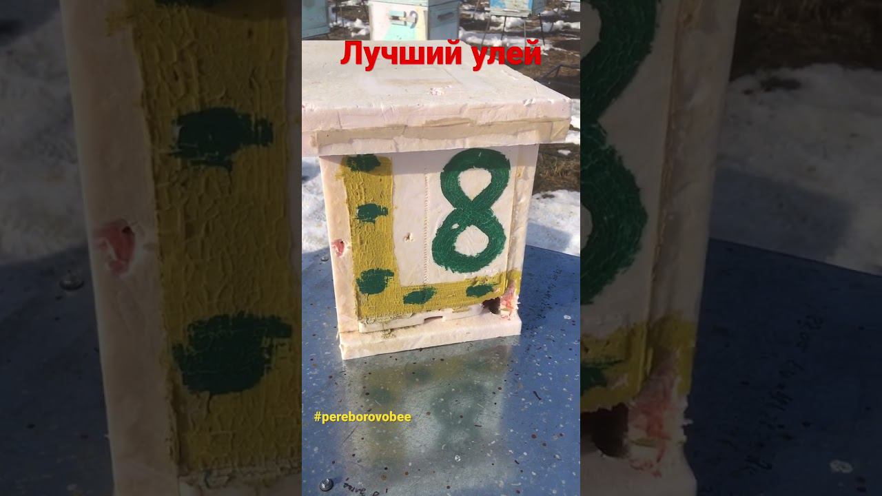 Лучший #улей или…  #pereborovobee           #пчеловодство #bee #матководство #bee #пасека #сделайсам