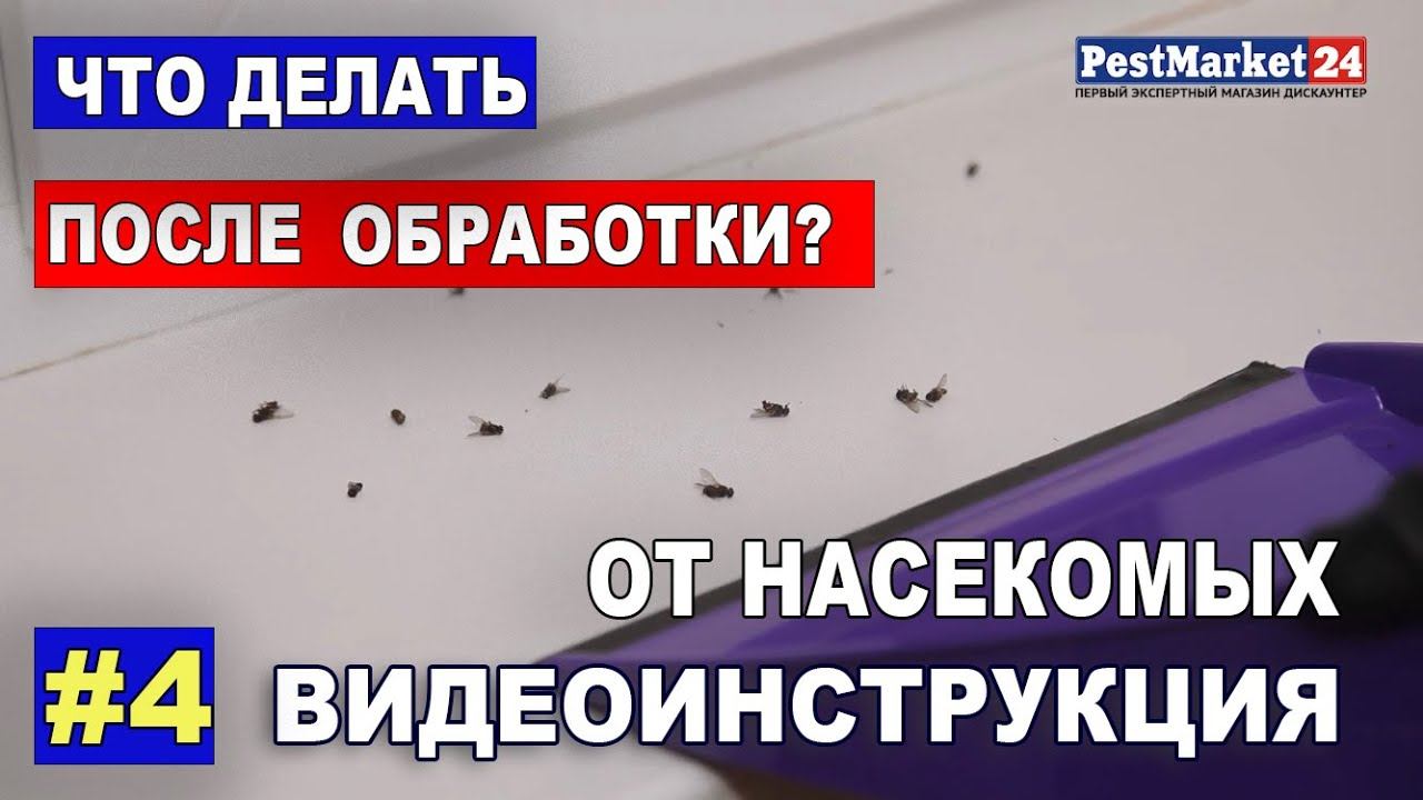 Мероприятия после обработки помещения от тараканов, клопов, муравьев. ВИДЕОИНСТРУКЦИЯ