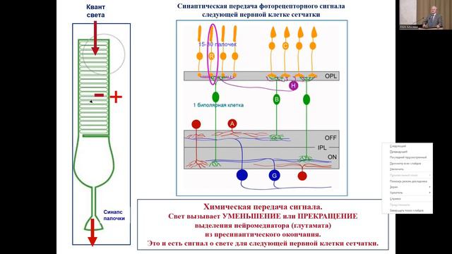 Пленарный доклад М.А. Островского