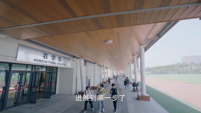 На коньках навстречу любви 1 сезон 6 серия