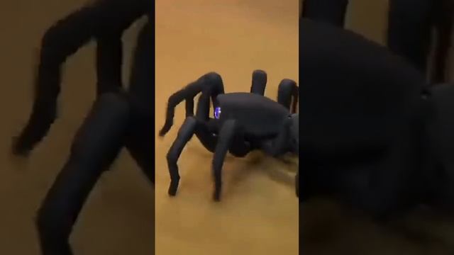 ???Ты этого ещё не видел - Офигенный робот паук #shorts #технологии #техника