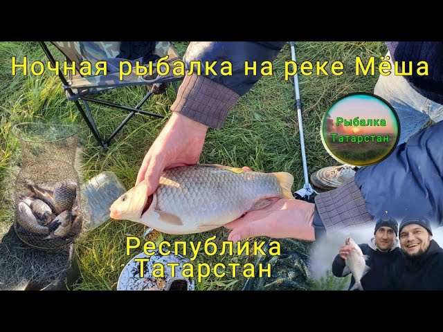 Ночная рыбалка на реке Меша - 28 мая 2020 года (Night fishing on the Mesha River)