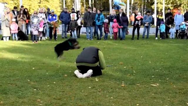 фестиваль Эко дог #счастьедаром Показательные дог-фризби ).mp4