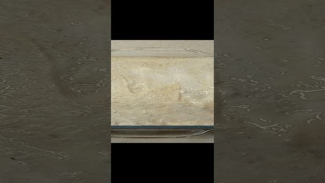 СУФЛЕ ИЗ РЫБЫ! ДИАБЕТ 2 ТИПА.