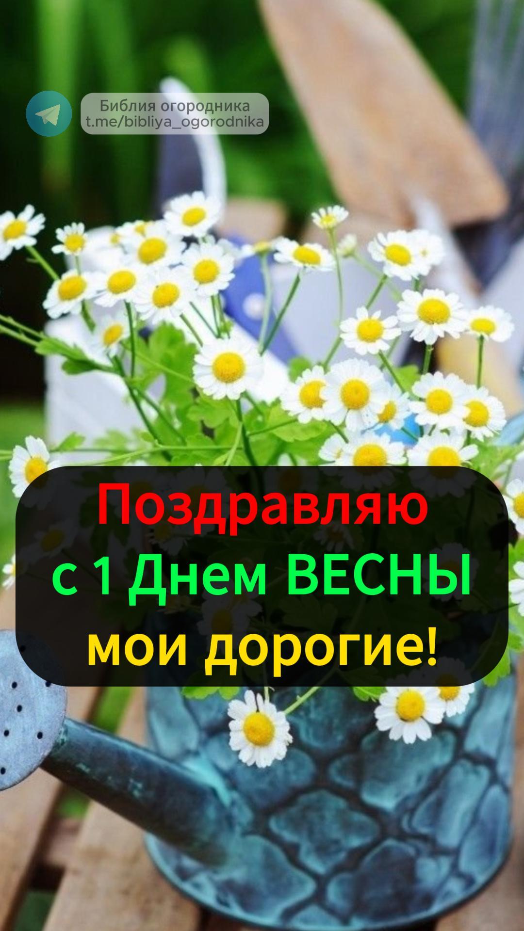 Первый день весны: Поздравление для садоводов, огородников, дачников #shorts