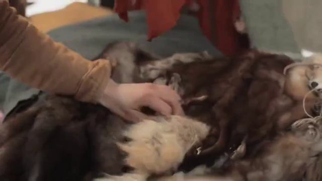 Летопись 1118 года (Югре 900)